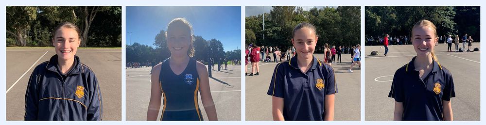 Newsletter - Volume 7