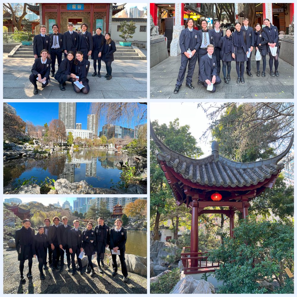 Newsletter - Volume 12